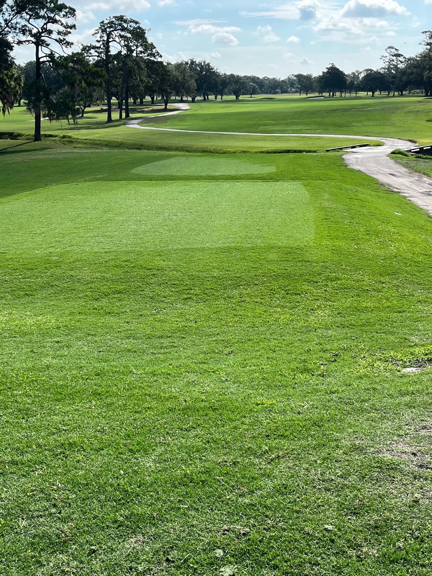 2023 Golf Course Regrassing Project - Sara Bay Country Club