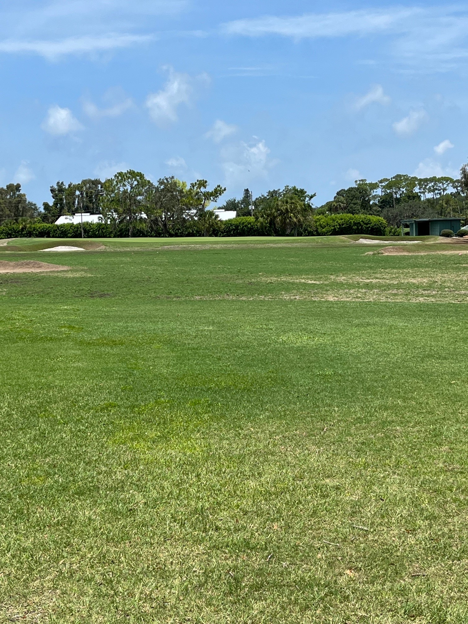 2023 Golf Course Regrassing Project - Sara Bay Country Club