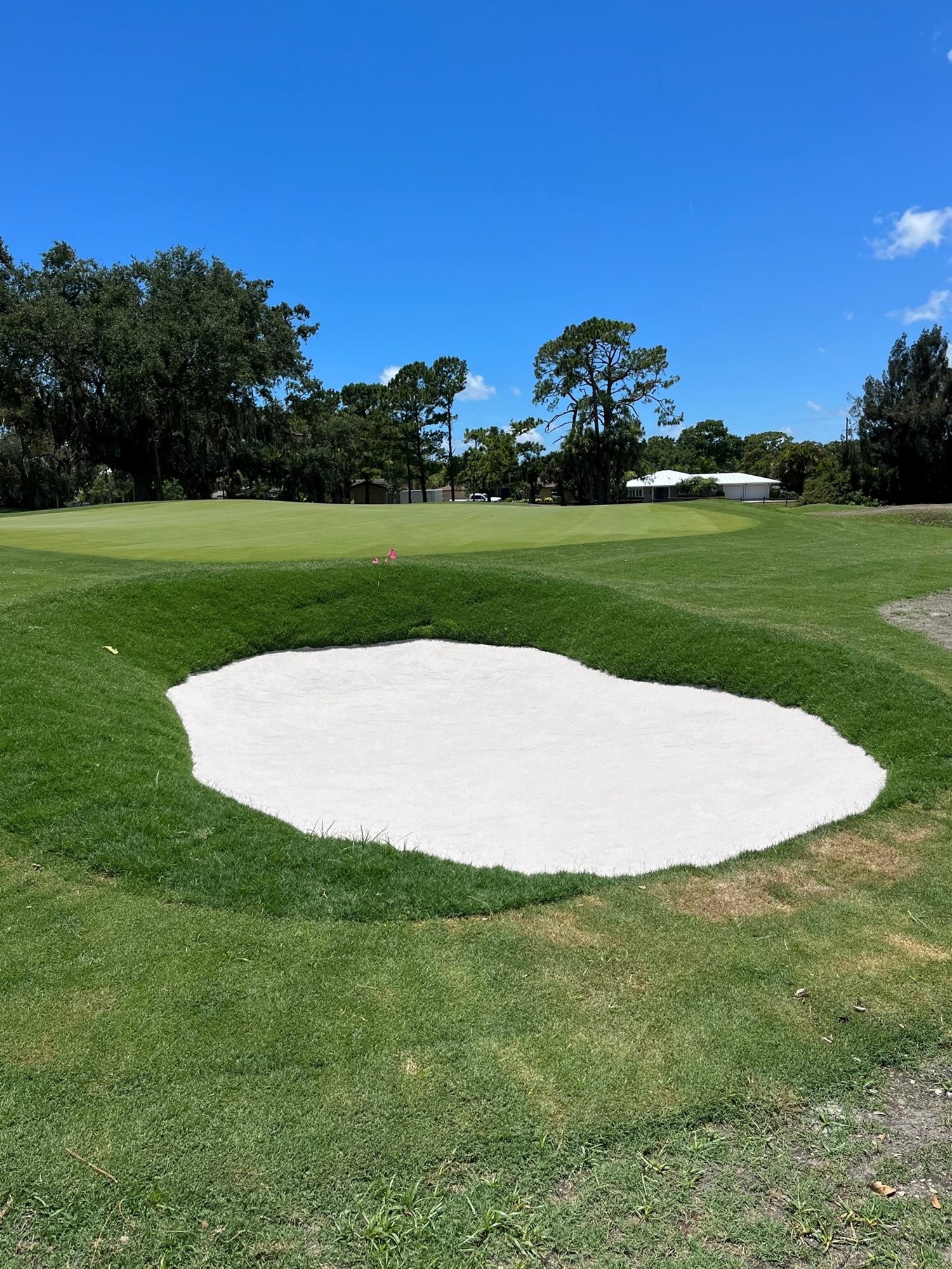2023 Golf Course Regrassing Project - Sara Bay Country Club