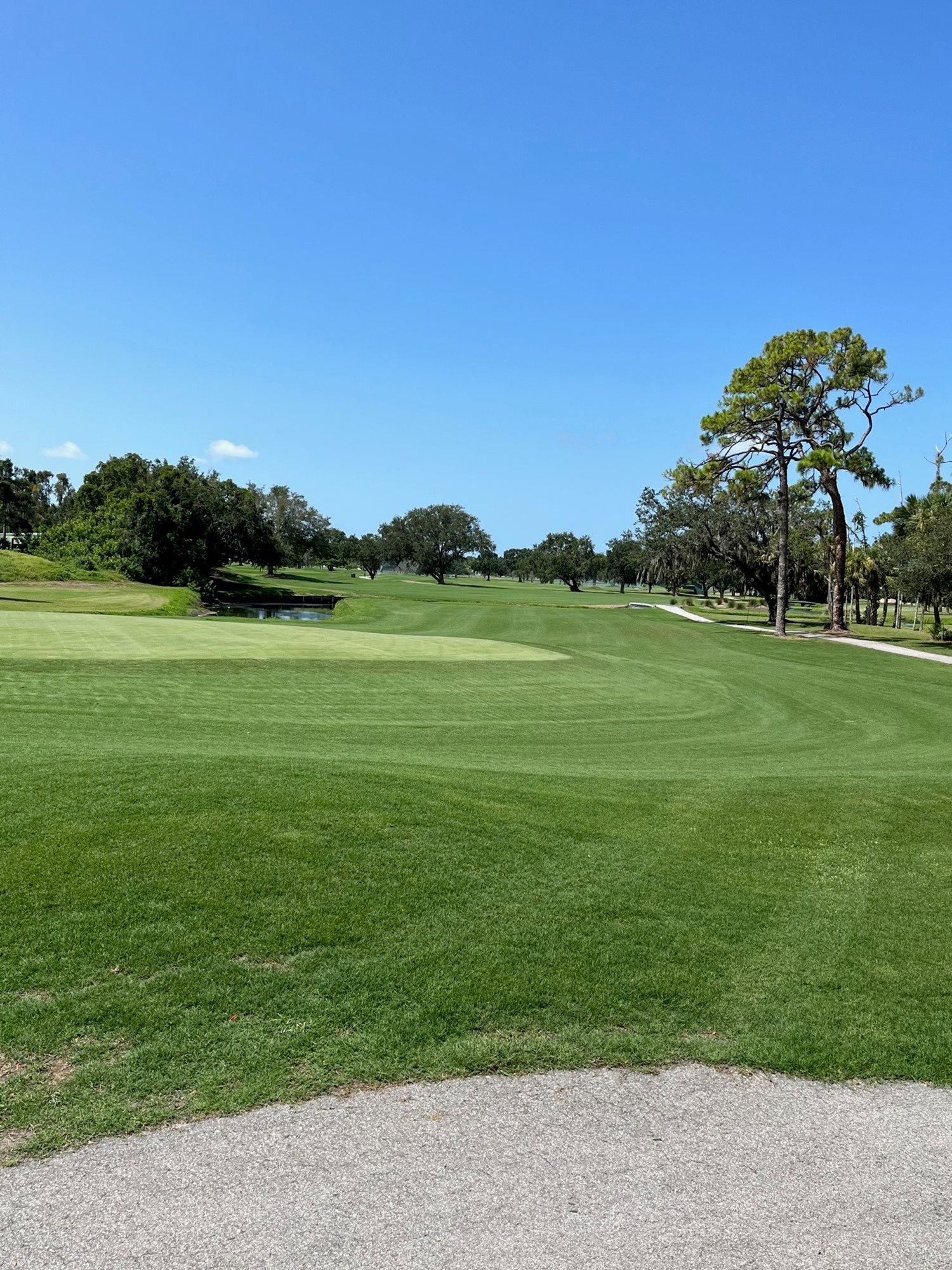 2023 Golf Course Regrassing Project - Sara Bay Country Club