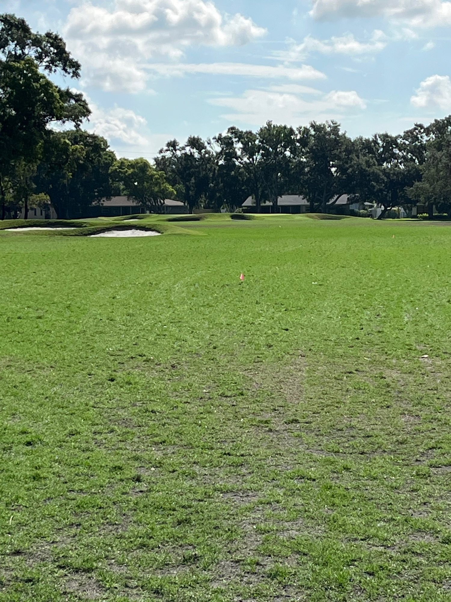 2023 Golf Course Regrassing Project - Sara Bay Country Club