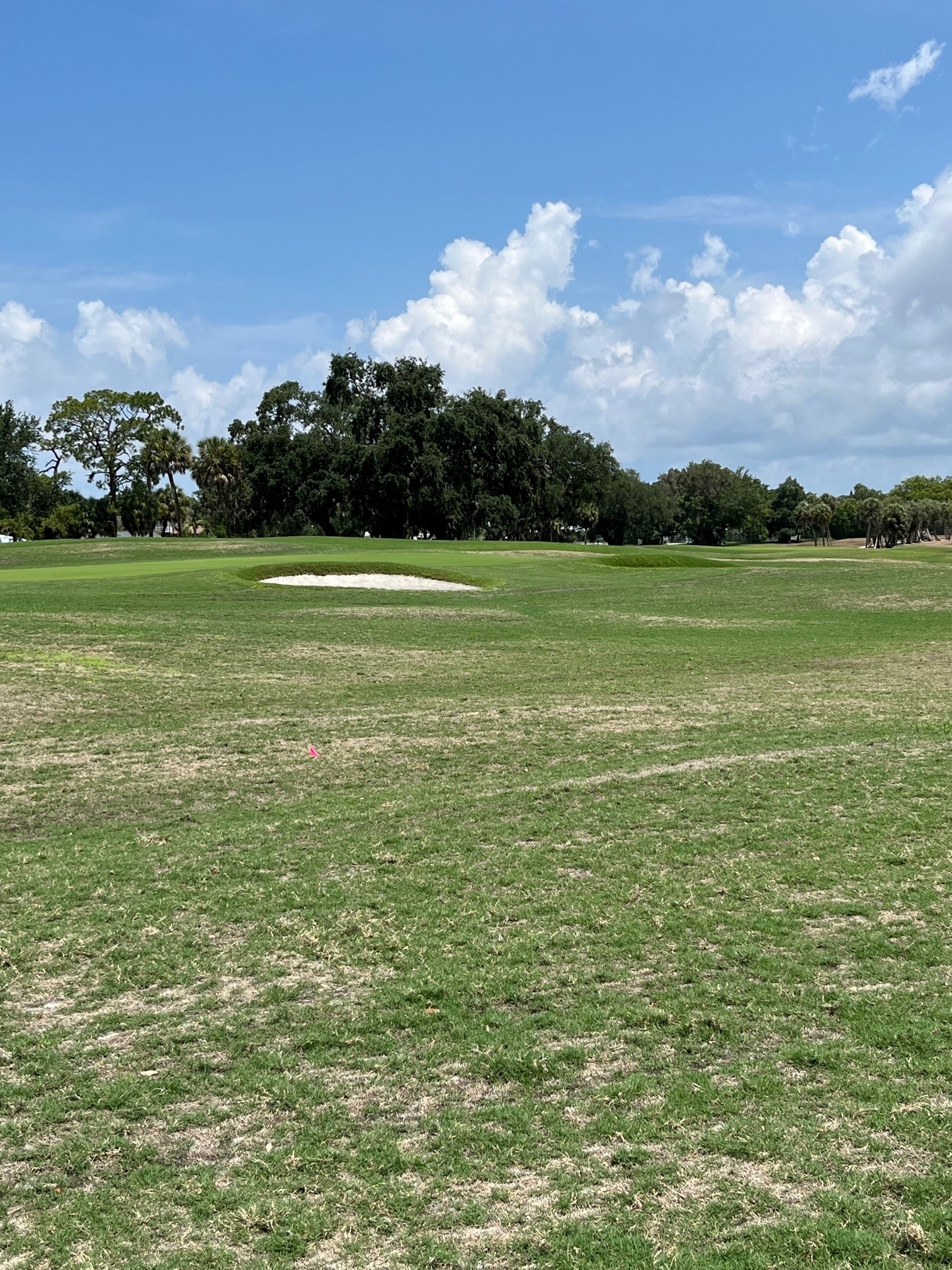 2023 Golf Course Regrassing Project - Sara Bay Country Club