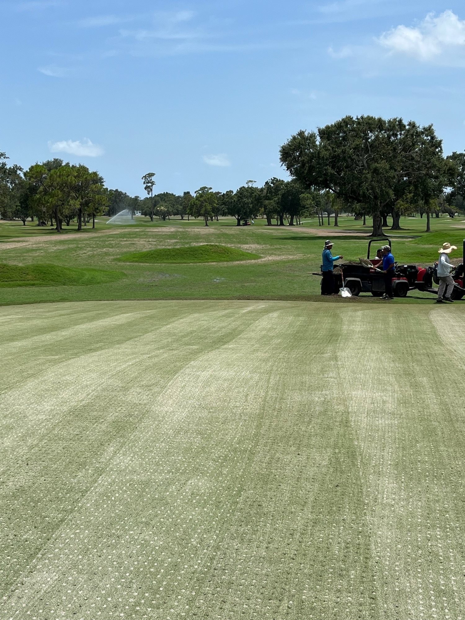 2023 Golf Course Regrassing Project - Sara Bay Country Club