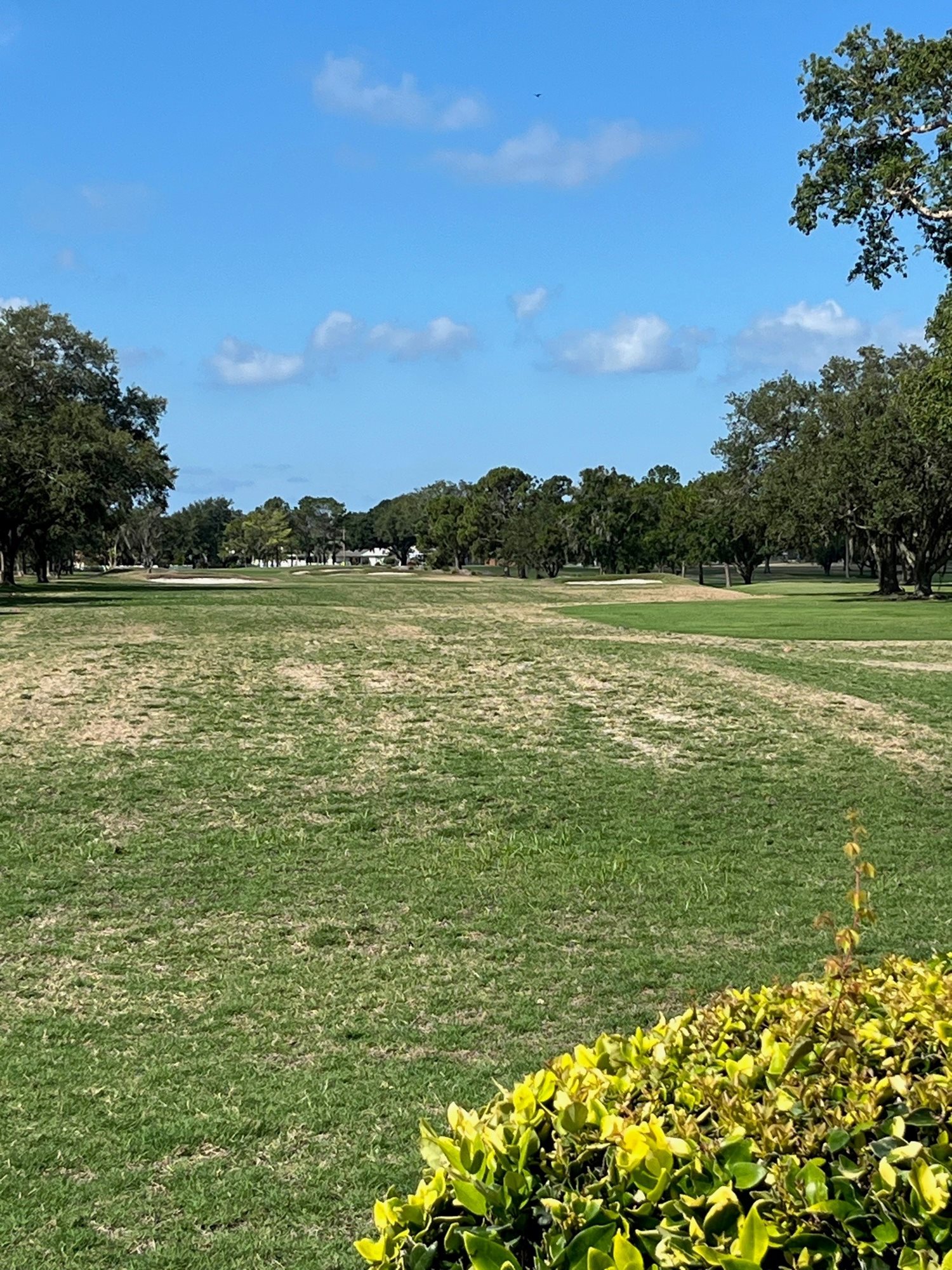 2023 Golf Course Regrassing Project - Sara Bay Country Club