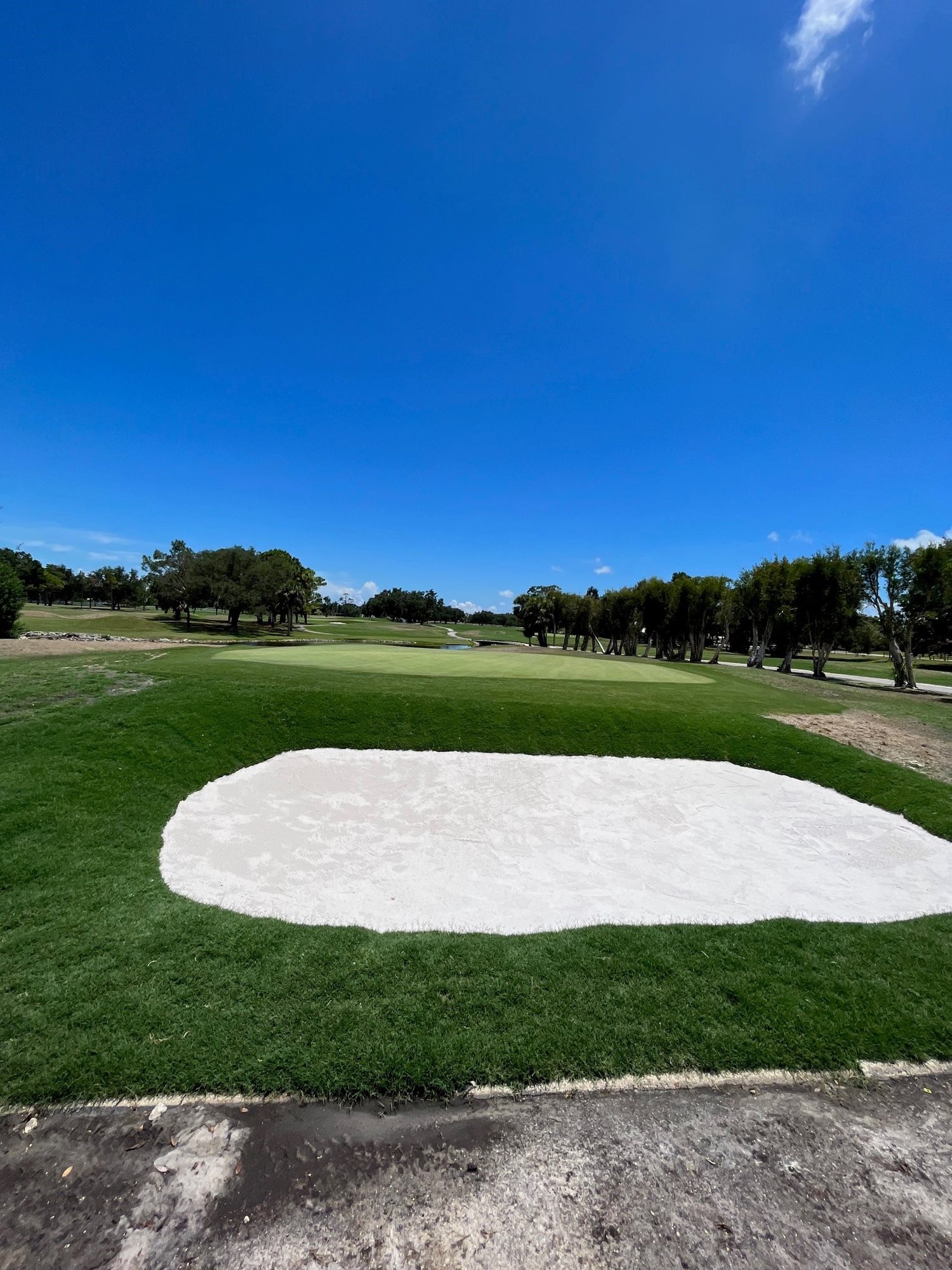 2023 Golf Course Regrassing Project - Sara Bay Country Club