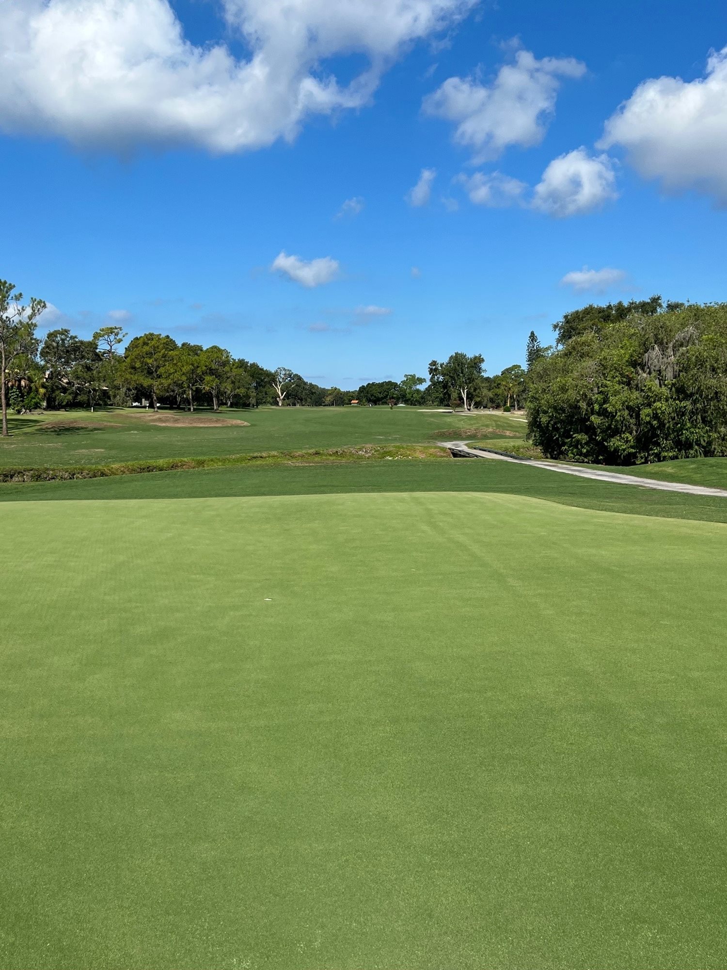 2023 Golf Course Regrassing Project - Sara Bay Country Club