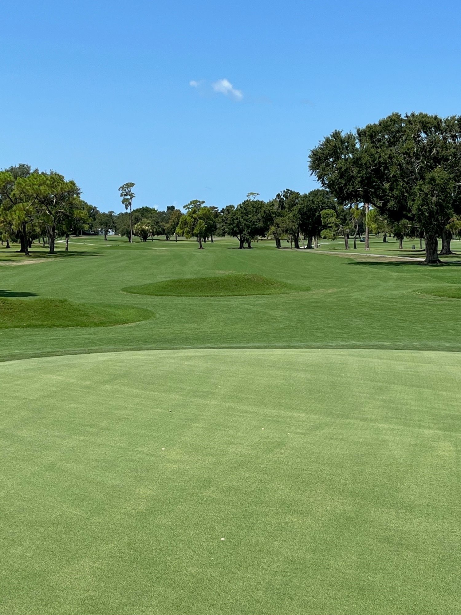2023 Golf Course Regrassing Project - Sara Bay Country Club