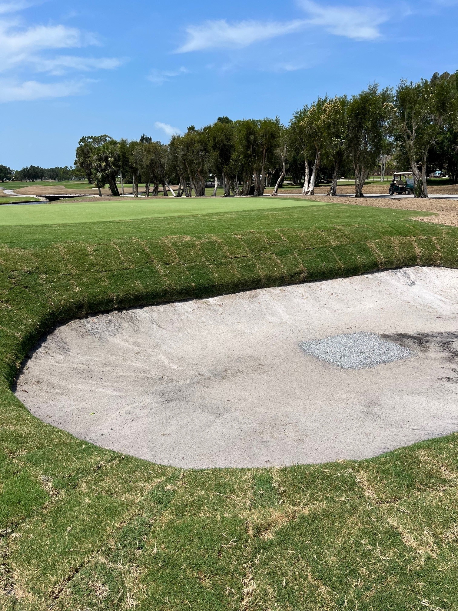 2023 Golf Course Regrassing Project - Sara Bay Country Club