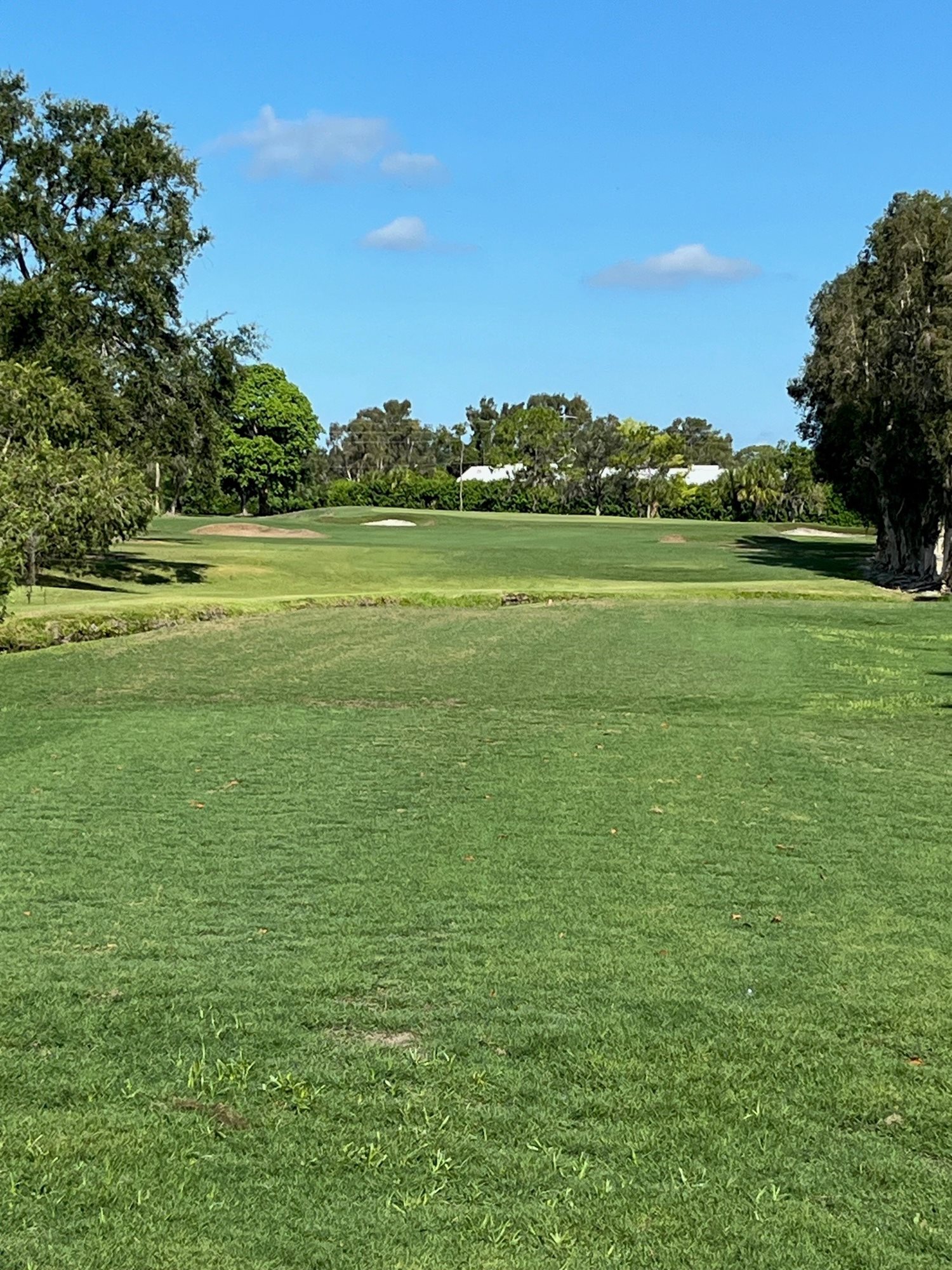 2023 Golf Course Regrassing Project - Sara Bay Country Club