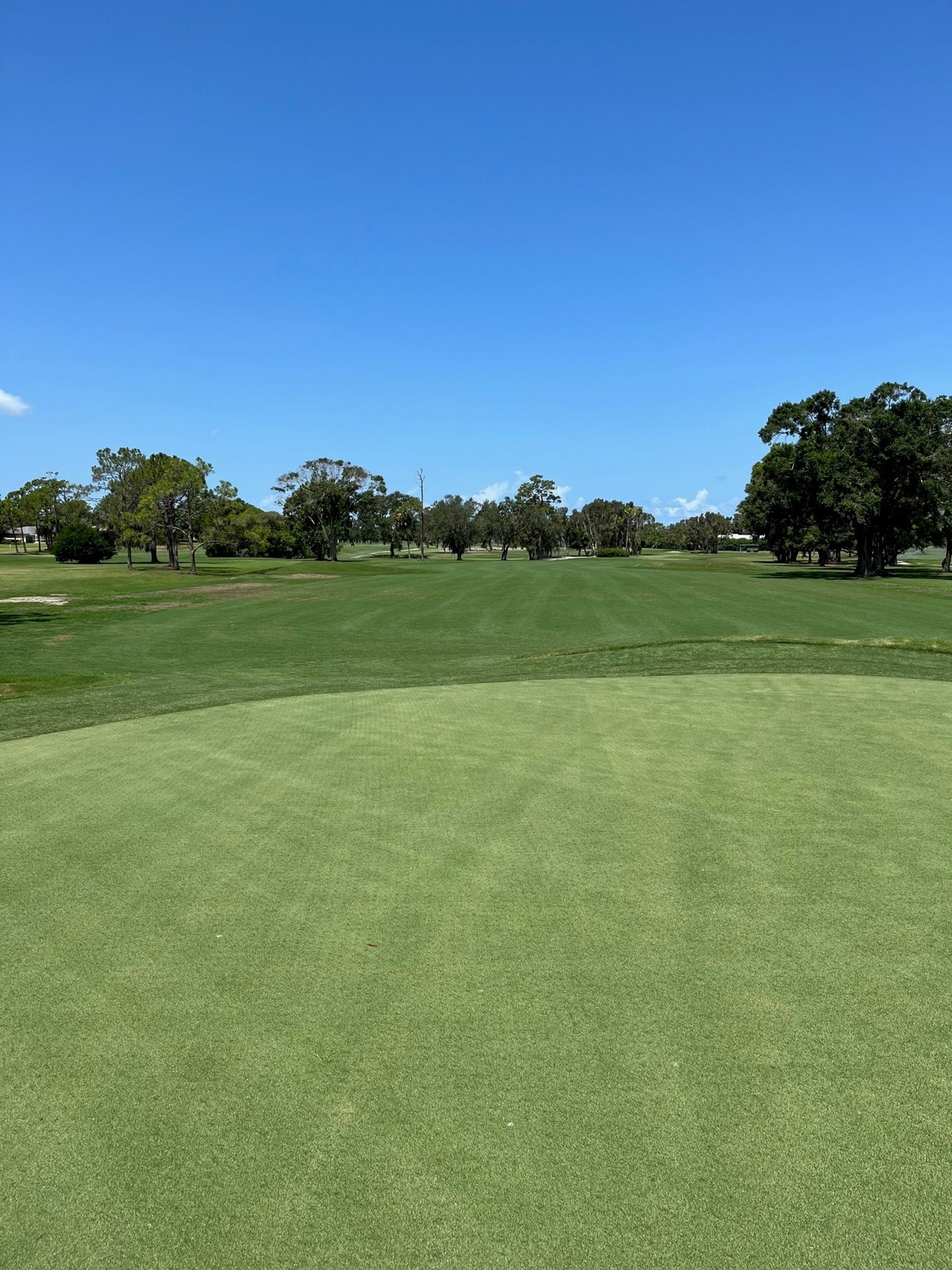 2023 Golf Course Regrassing Project - Sara Bay Country Club