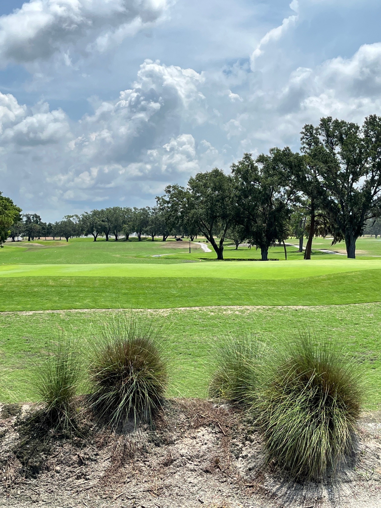 2023 Golf Course Regrassing Project - Sara Bay Country Club